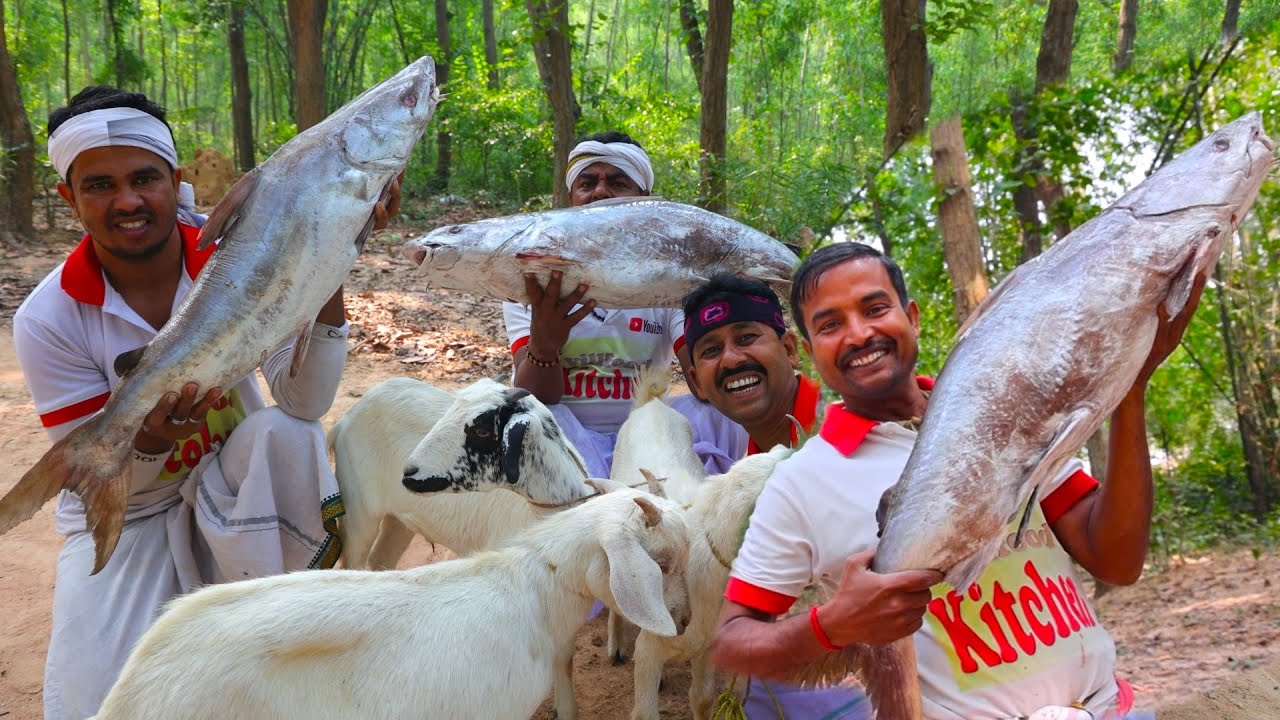 32 kg big size Sea Tangra fish recipe | Big sea fish & Mutton curry ...