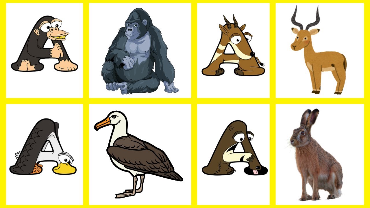 Alphabetimals With Letter 'A' | animal alphabet abc | Alligator ...