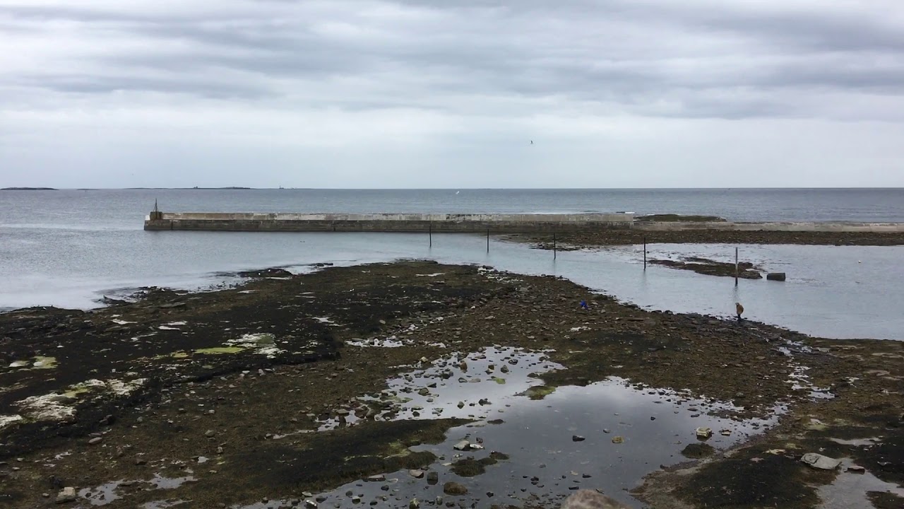 Low tide at seahouses harbour, Northumberland - YouTube