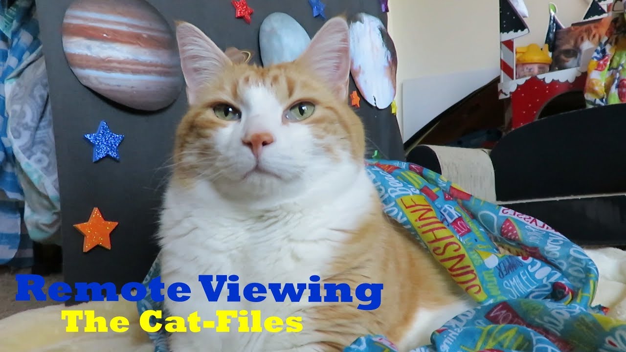 Remote Viewing | The Cat-Files - YouTube