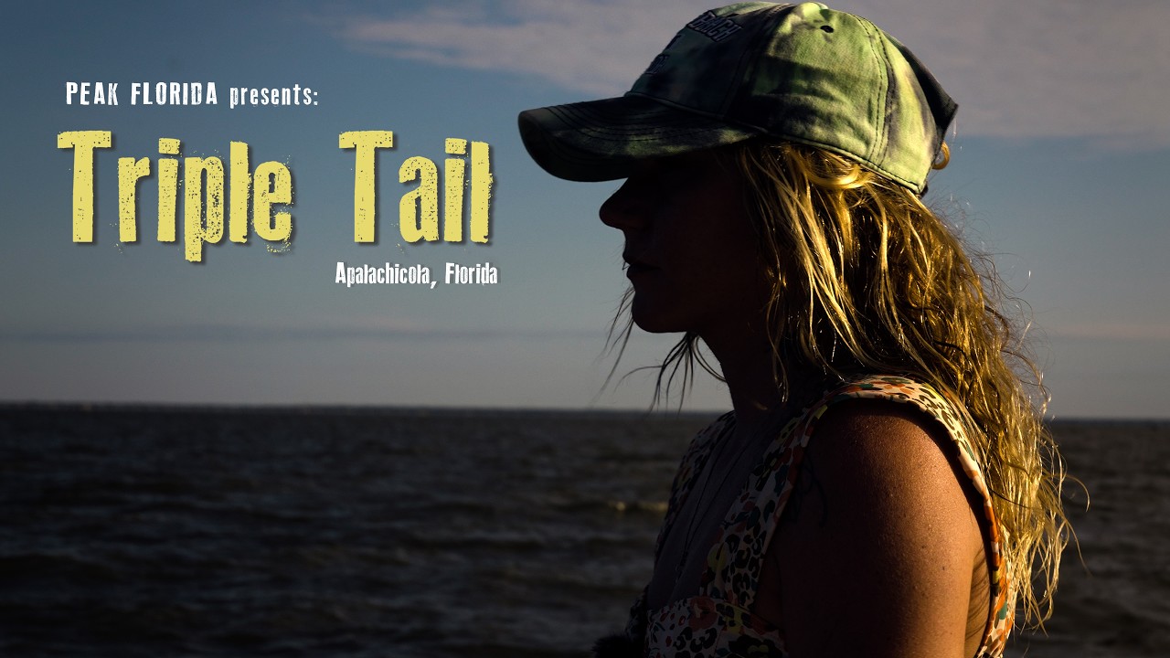 Triple Tail Fishing in Apalachicola, Florida - Catch, Clean, Cook - YouTube