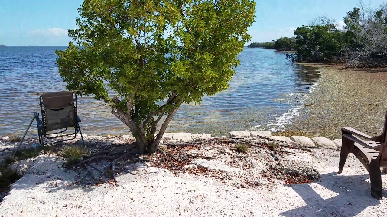 No name key 2019 - YouTube