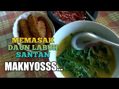 MENU SPESIAL || DAUN LABUH MAKNYOSSS.....#Masakan Istimewa #Sayursedap ...