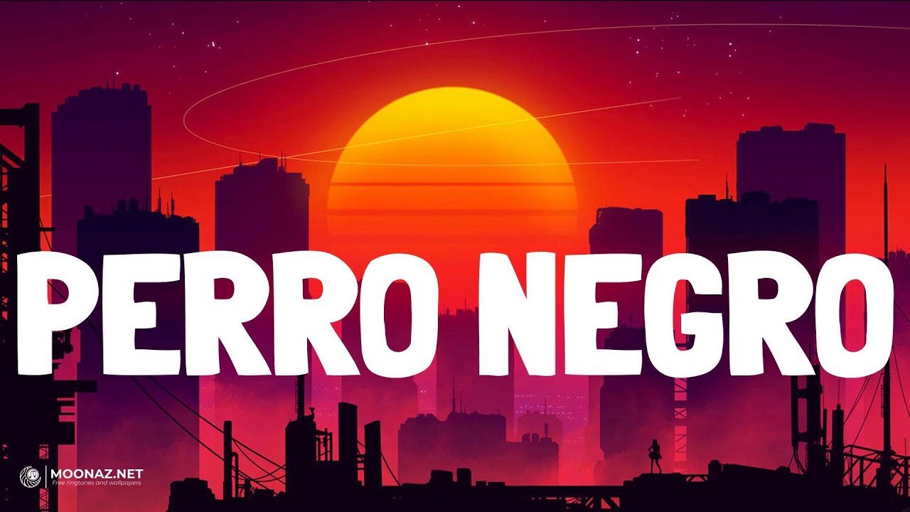 Bad Bunny - PERRO NEGRO | LETRA | Lou Lou - Albin Lee Meldau - YouTube