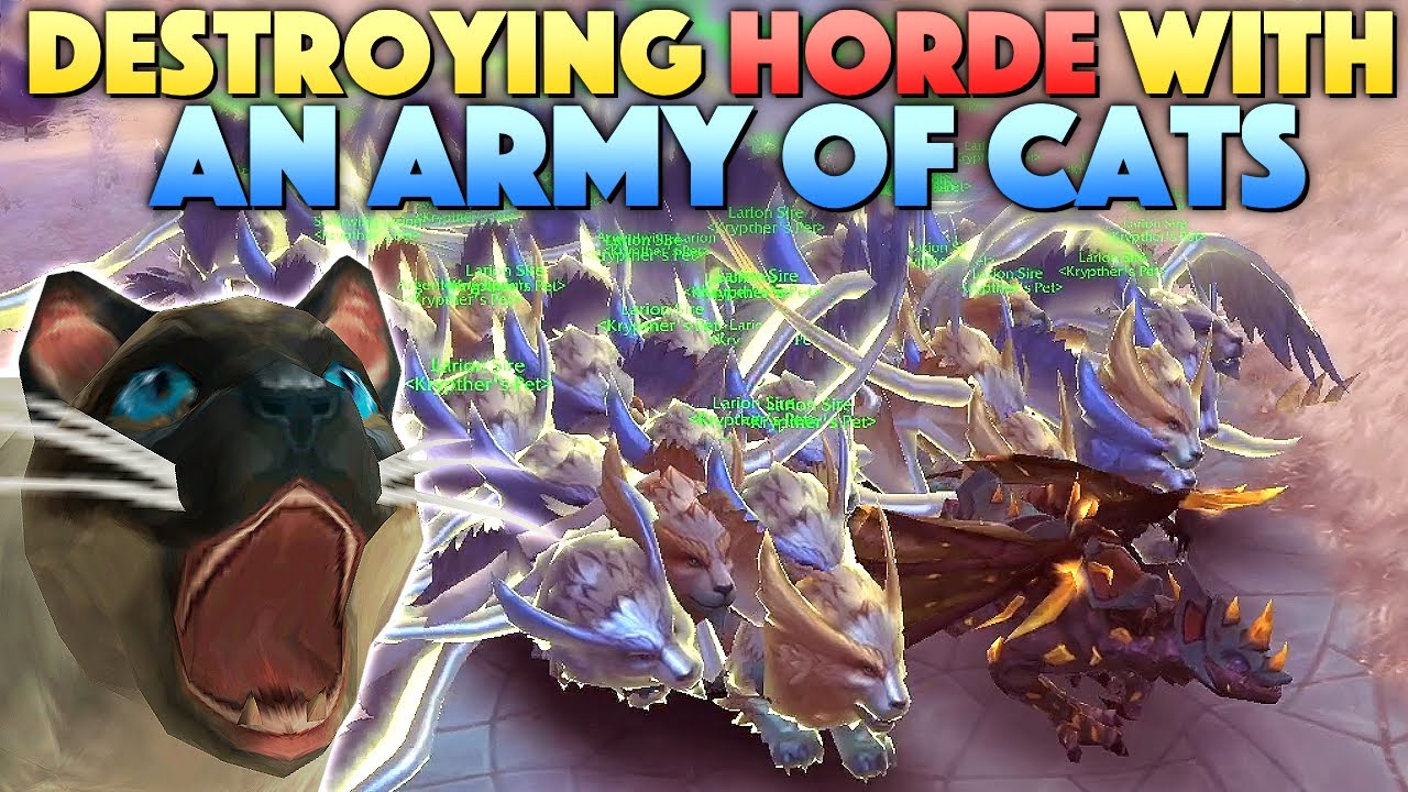 Obtaining 50 Cats to Annihilate EVERYONE - YouTube