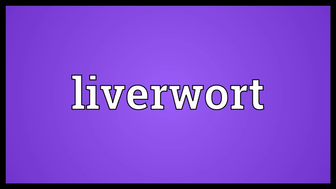 Liverwort Meaning YouTube liverwort-meaning-youtube