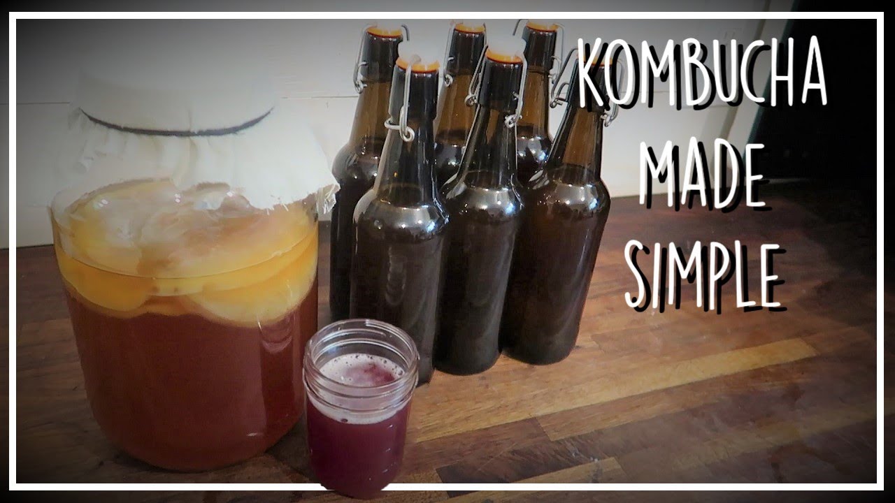 Simple Guide to Homemade Kombucha//Growing a Scoby//Kombucha 101 - YouTube