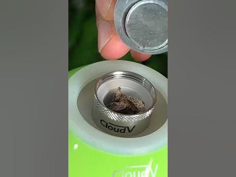 CloudV GLOBE!!! cloudv.com - YouTube