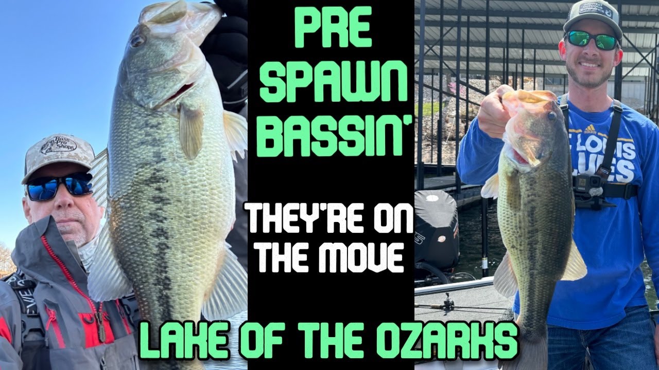 Early Spring Bass Fishing | Lake of the Ozarks - YouTube