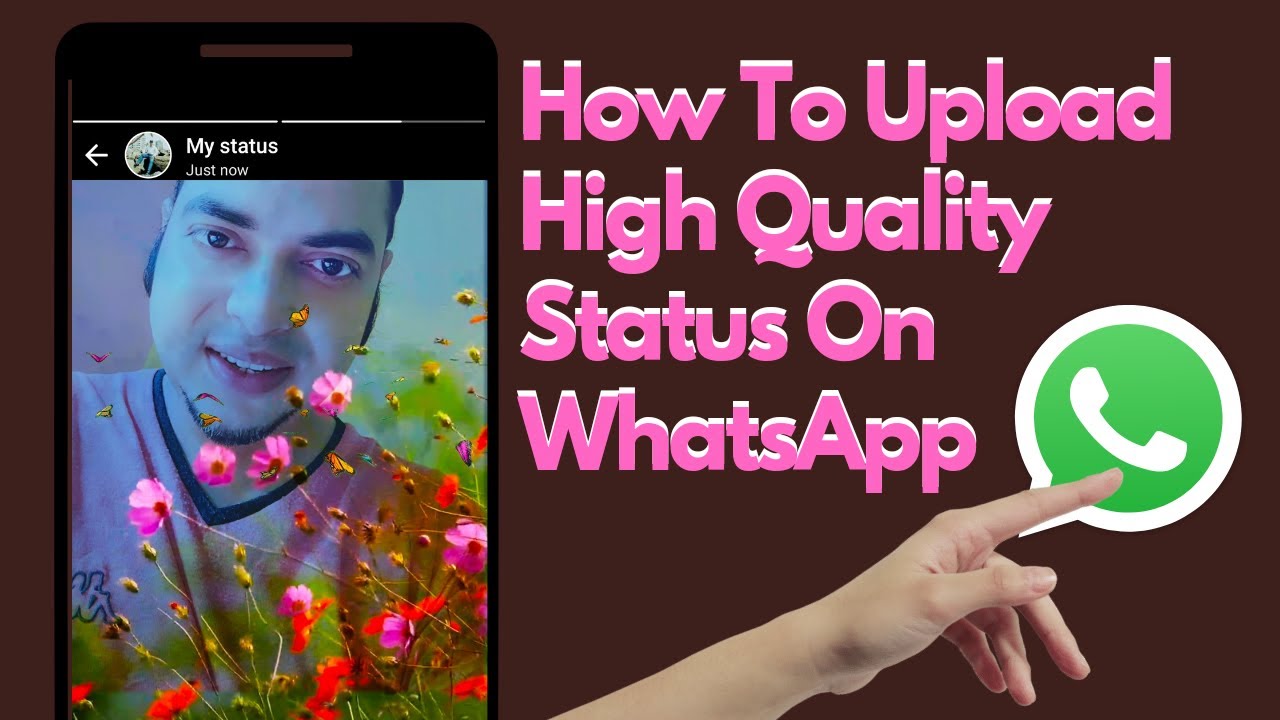 How To Upload High Quality Status On WhatsApp How To Upload WhatsApp Status Without Quality how-to-upload-high-quality-status-on-whatsapp-how-to-upload-whatsapp-status-without-quality
