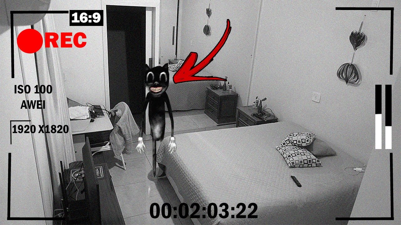 O MISTERIOSO CARTOON CAT! Ele existe de verdade? - YouTube