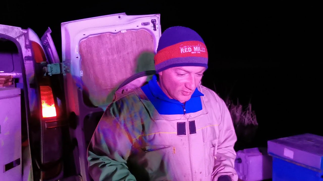 BEE SAUNA (part 2) - YouTube