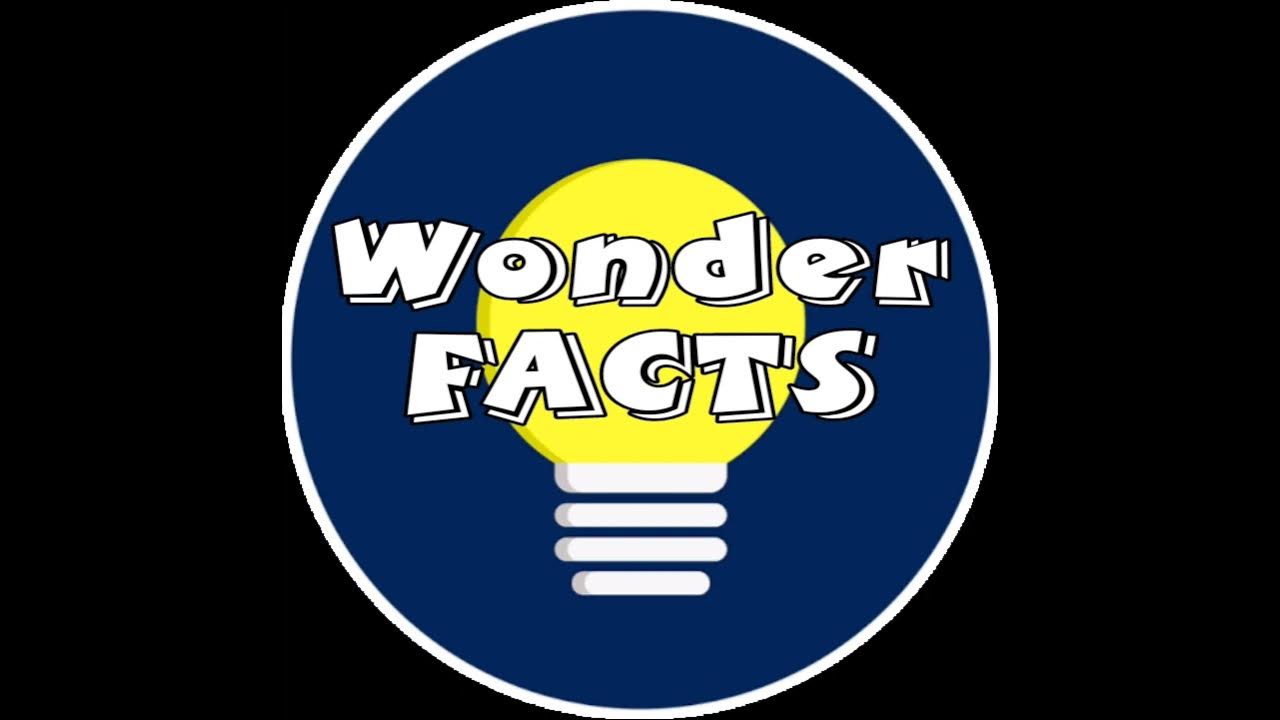 Longest Place Name In The World Wonder FACTS Shorts YouTube longest-place-name-in-the-world-wonder-facts-shorts-youtube