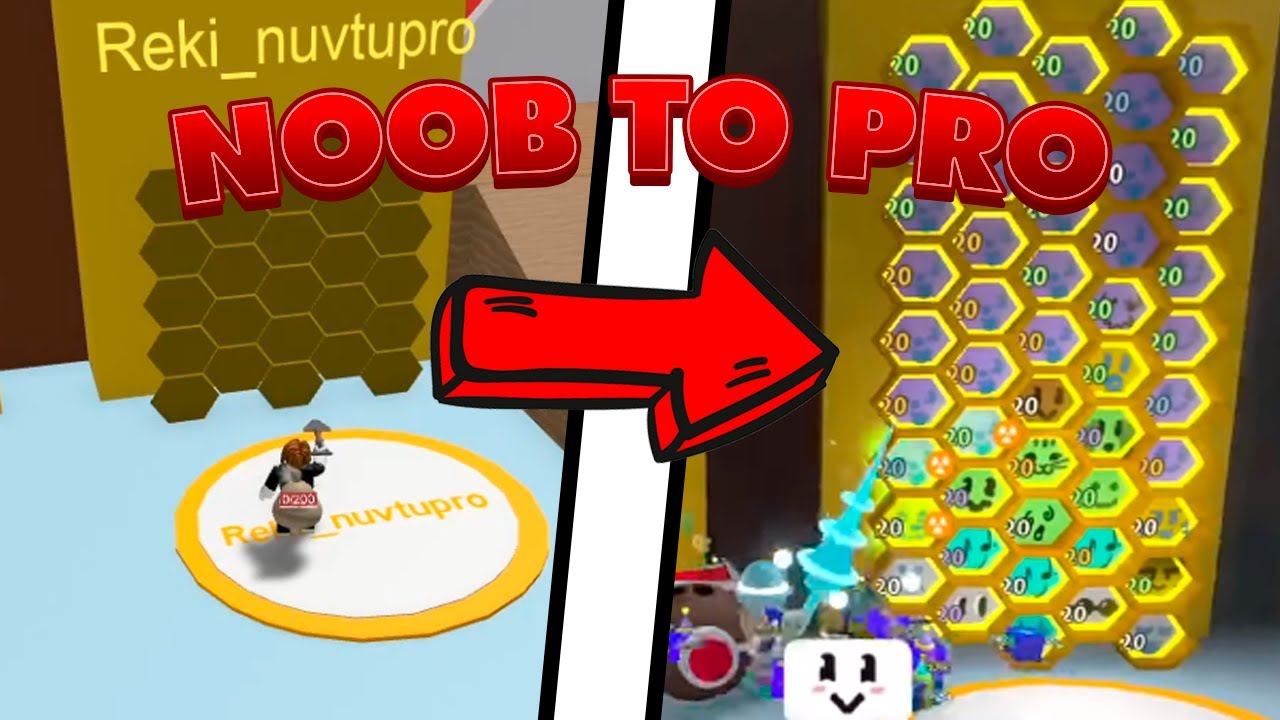 NOOB TO PRO Bee Swarm Simulator | #1 - YouTube