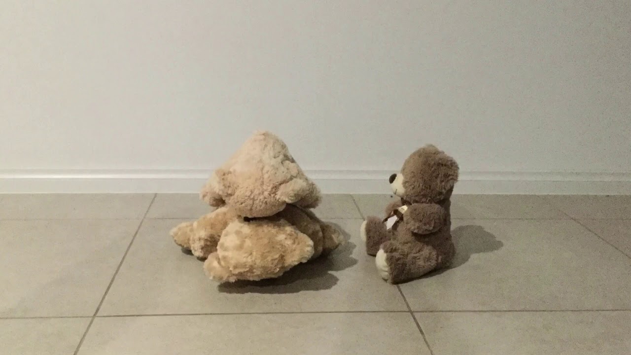 The Bears Fall Down (story) - YouTube