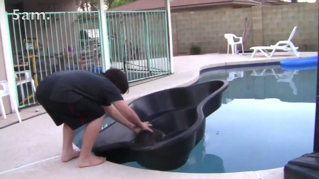 Cat falls in pool - YouTube
