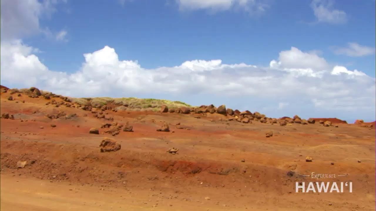 Experience Hawaii - Hawaii's HD Channel 1001 Live Stream - YouTube