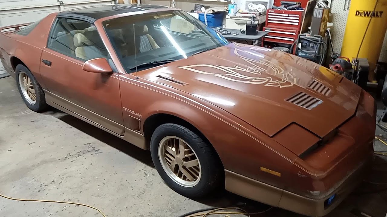 85 Firebird TRANS AM Update - YouTube