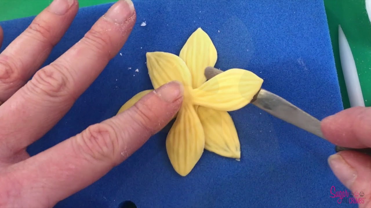 Daffodils by Sue Pinnick - YouTube