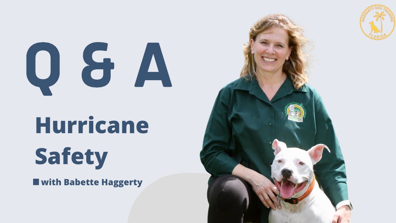 Hurricane safety | Thursday live with Babette - YouTube