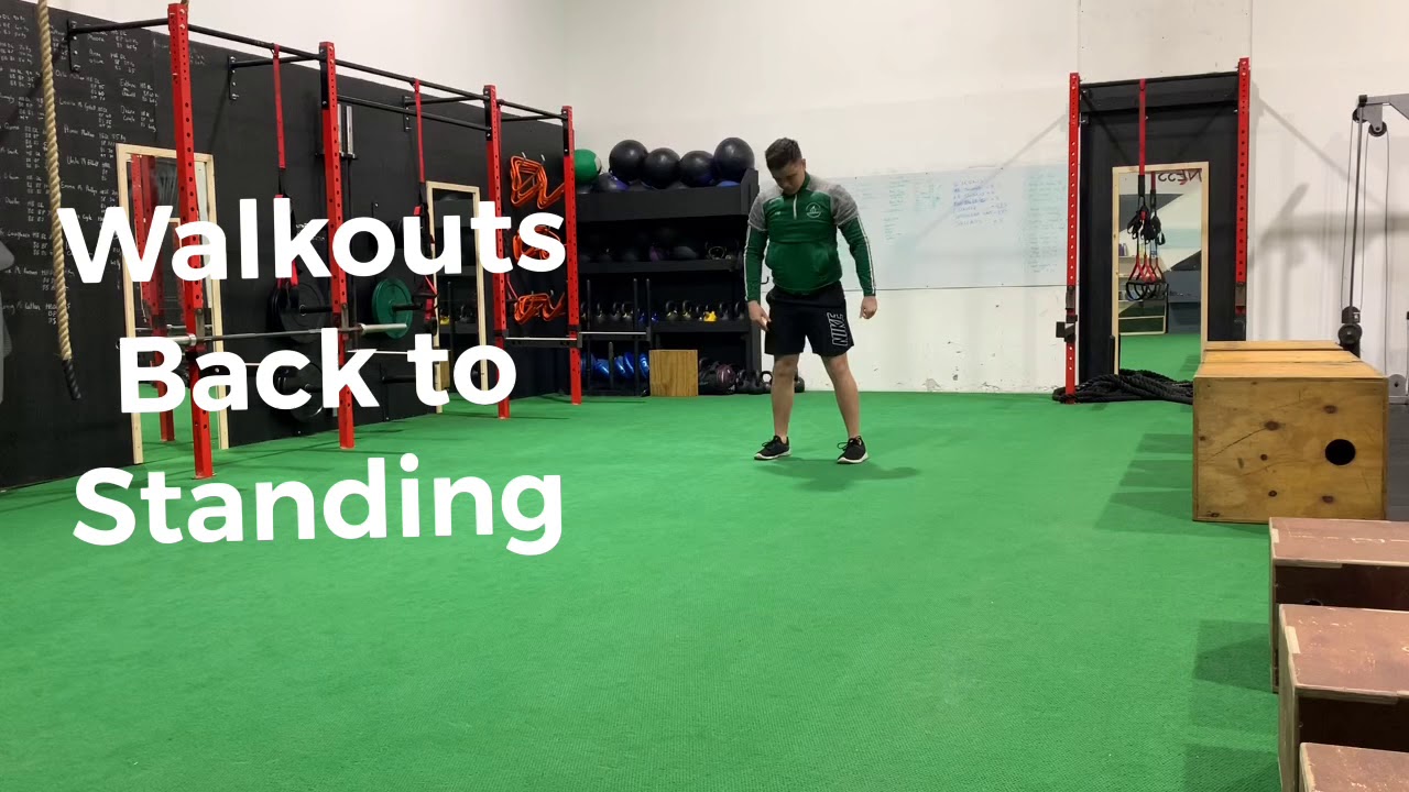 Full Body Mobility/ Warm up for any Workout - YouTube