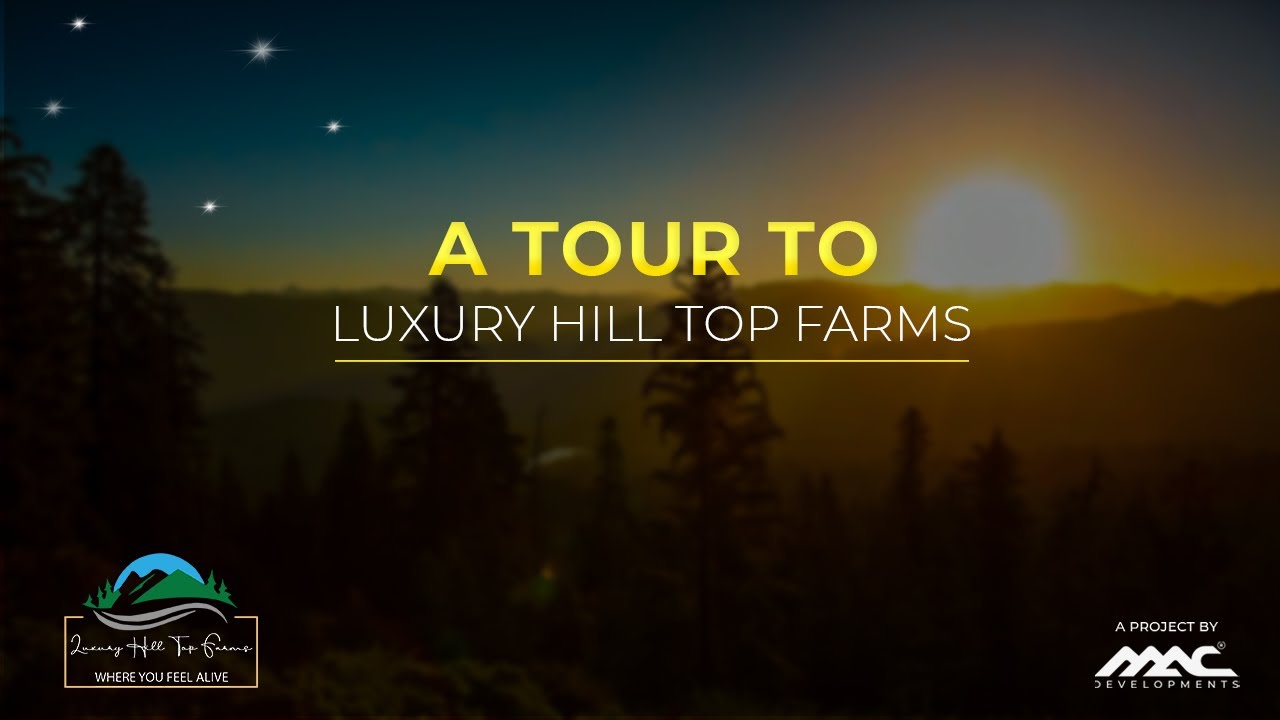 LUXURY HILLTOP FARMS | Angoori Road | Murree | Patriata - YouTube