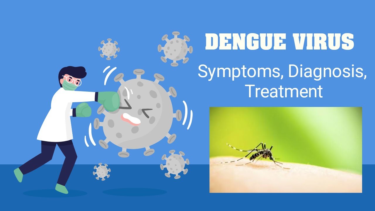 Dengue Virus | Fever | Symptoms | Diagnosis | Treatment | Details ...