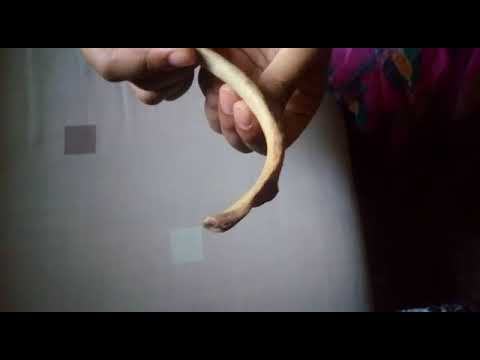 TYPICAL RIB features and attachments part 2 - YouTube