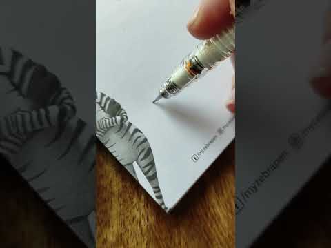 DELGUARD - mechanical pencil with unbreakable lead - Zebra Pen EU