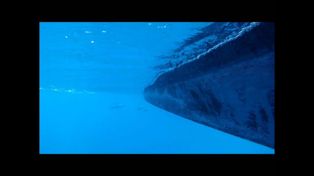 GoPro- Guam Dolphins - YouTube
