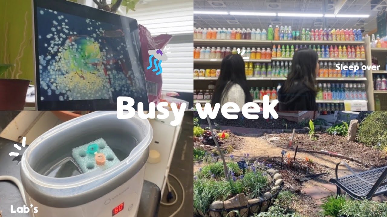 Busy week: Lab’s, High school pep rally, sleep over, & more - YouTube