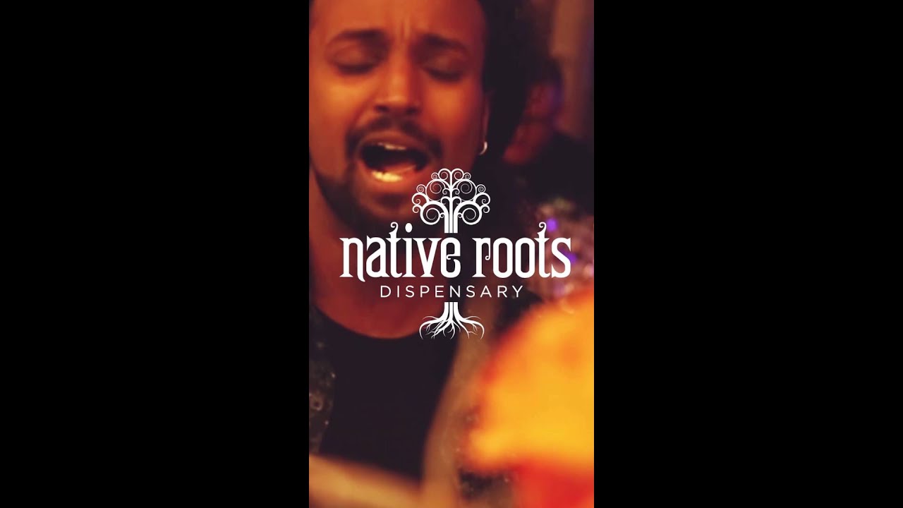 Native Roots Nightlife - YouTube