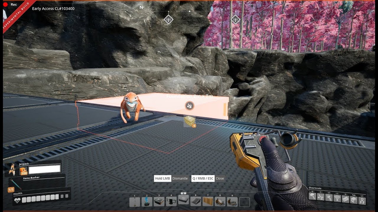 How not to Save a Lizard Doggo - YouTube