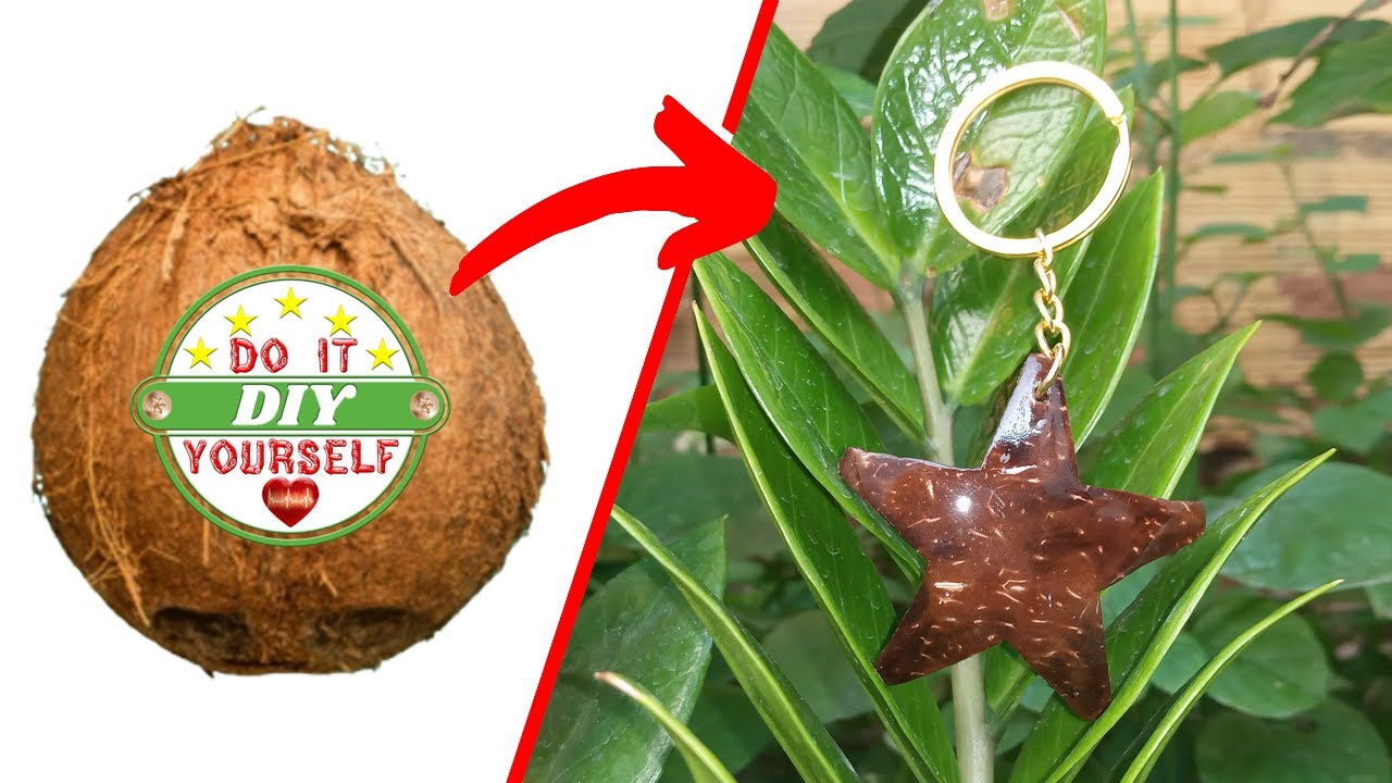 Coconut Shell craft ideas How to make star Keychain with Coconut shell ...