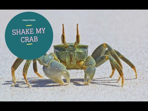 Amazing crab movement - YouTube