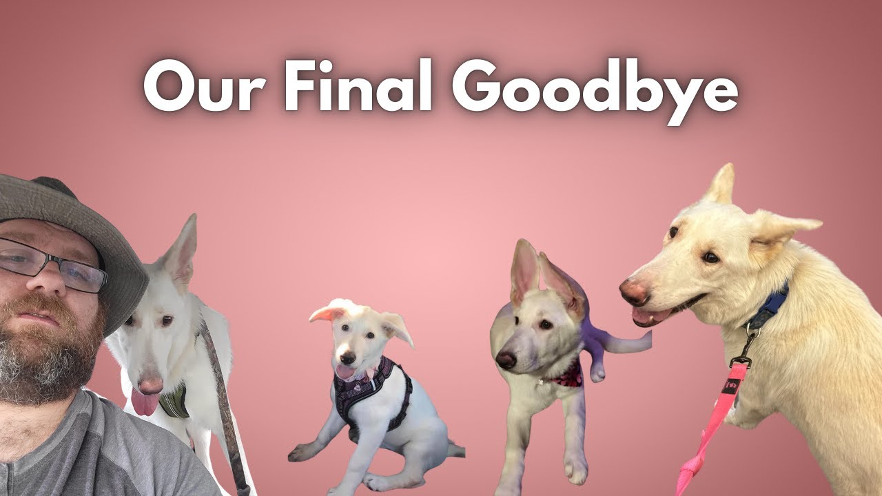 Saying Goodbye to the best Dog Ever Princess - YouTube