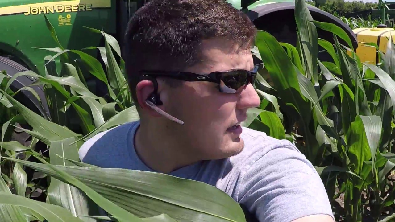 Feed The Corn with Y-Drops - YouTube