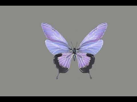 Animated Butterfly（VRChat)