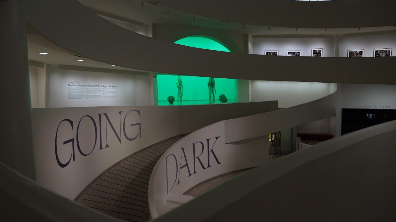 Curator Ashley James on "Going Dark: The Contemporary Figure at the ...