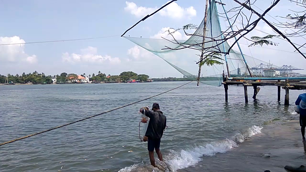 Fishing Near Fort Kochi Region Ernakulam | Kerala, India - YouTube