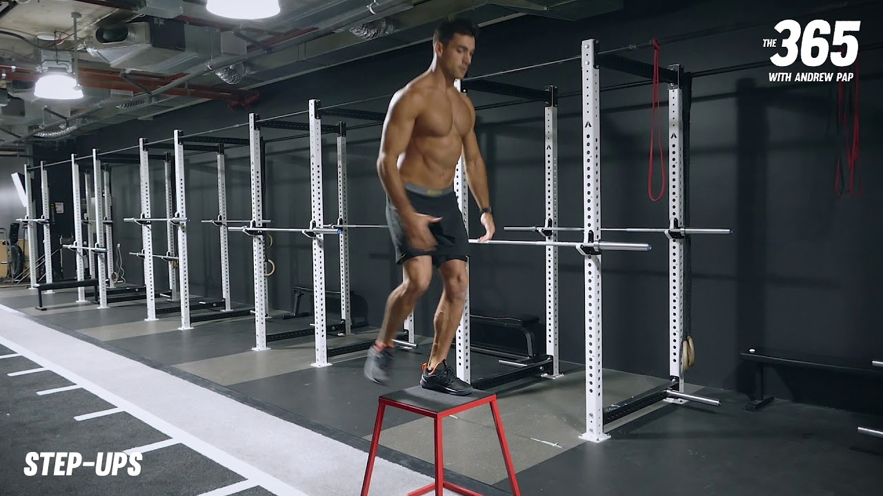 Andrew Pap's 365 Exercise Library - Step-Ups - YouTube