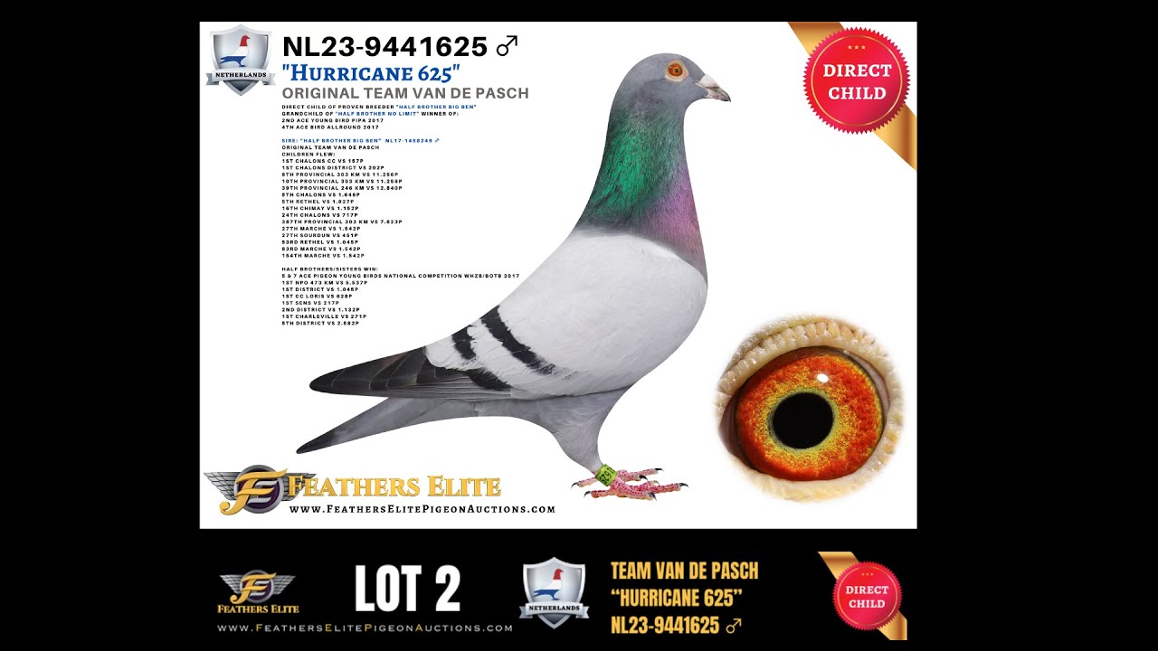 LOT 2 VAN DE PASCH - YouTube