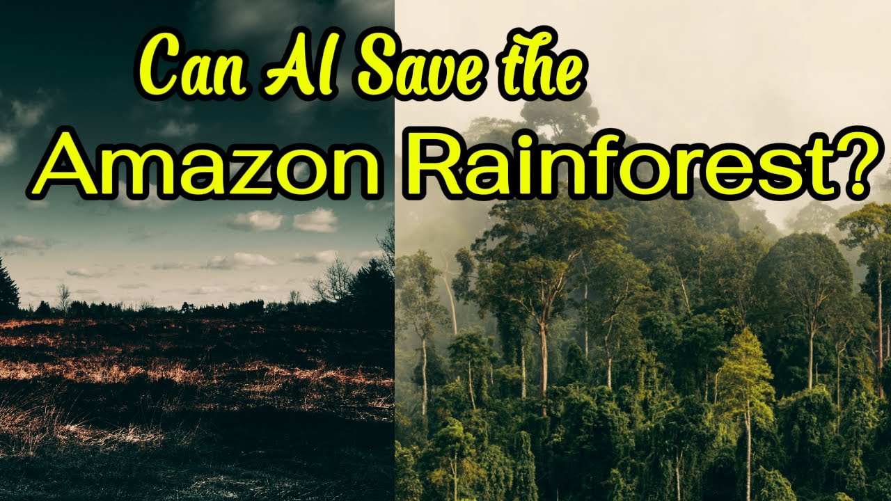 How AI is Saving the Amazon Rainforest: The Story of Project Guacamaya ...