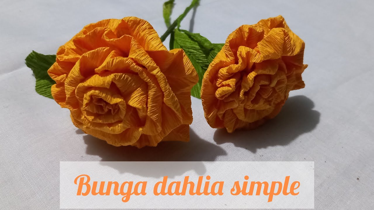 Tutorial membuat bunga dahlia yang simple dari kertas krep - YouTube