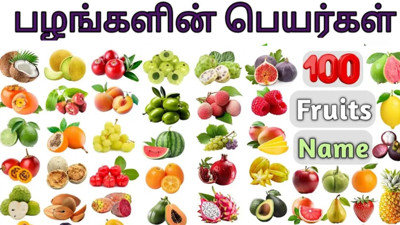 Fruits Name| பழங்களின் பெயர்கள்|Learn Fruits Name in Tamil and English ...