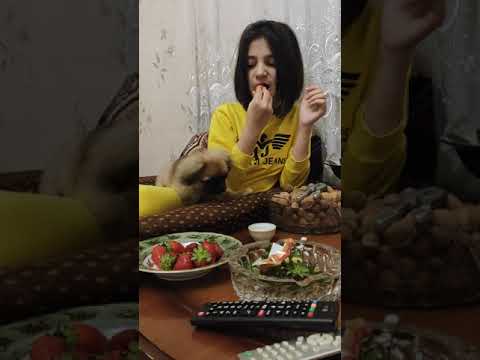 Lusi çiyələk 🍓 yeyir