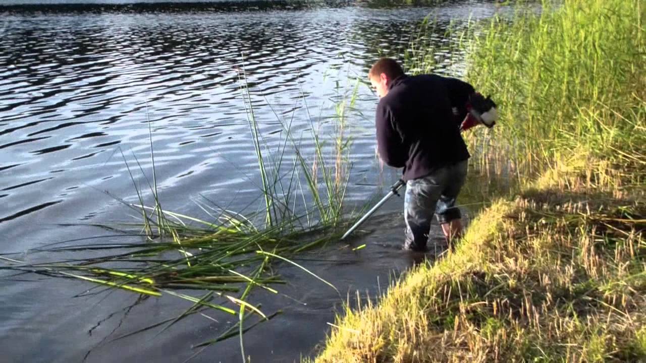 kaislaleikkuri CIM - YouTube