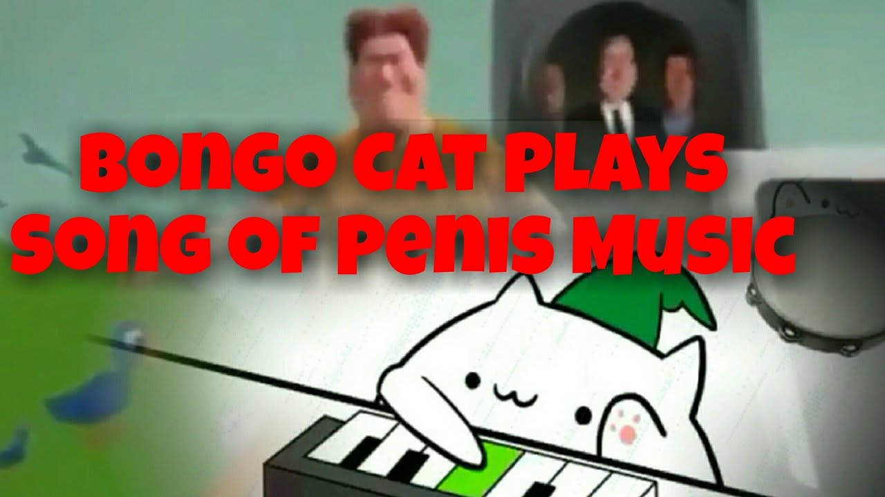 Bongo Cat - Song of Penis Music (Song of Storms Remix) - YouTube