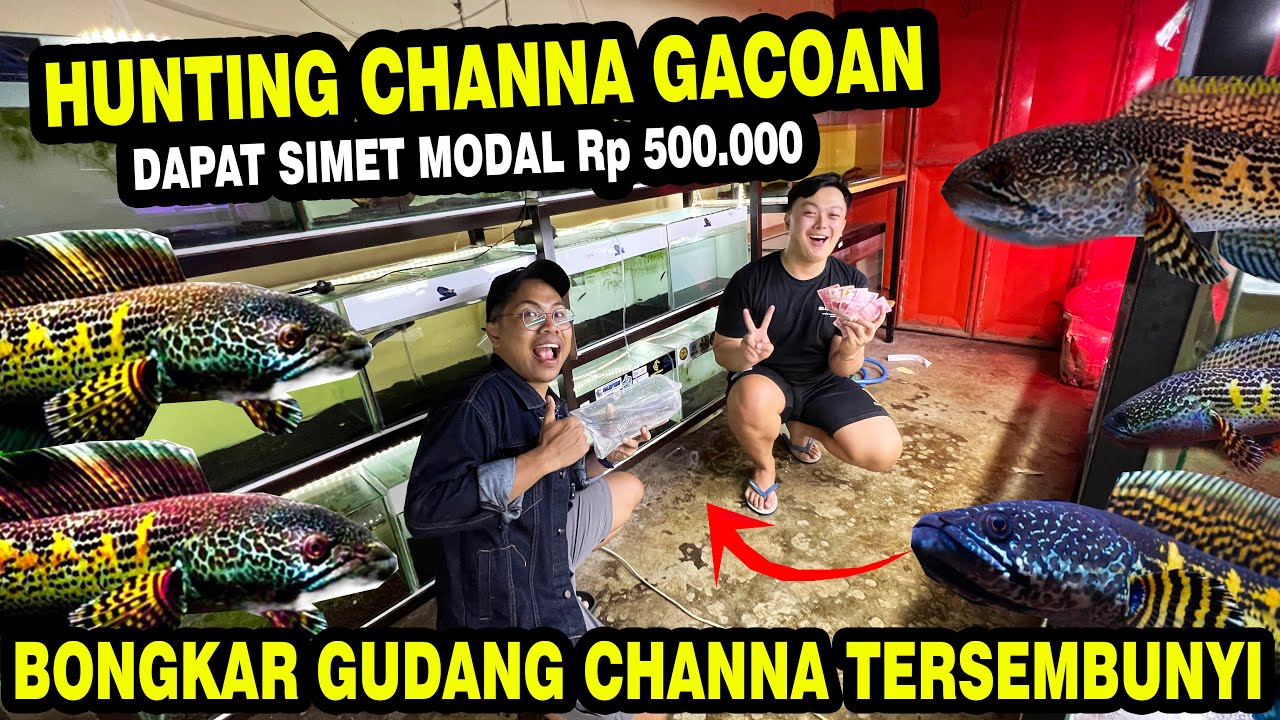 JACKPOT LAGI!! CULIK KOLEKSI CHANNA TERSEMBUNYI DIGUDANG @JAVA CHANNA - YouTube