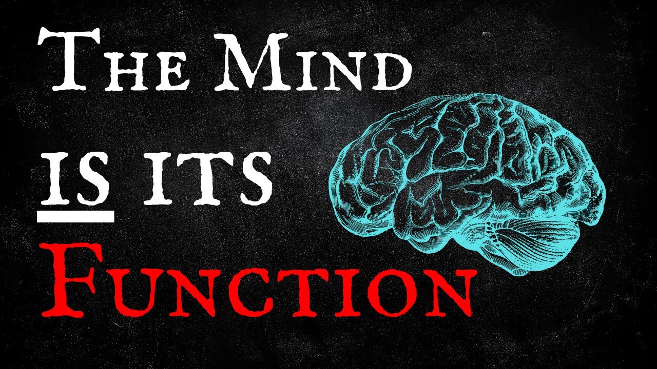 Functionalism: The Mind/Body Problem Solved? - YouTube